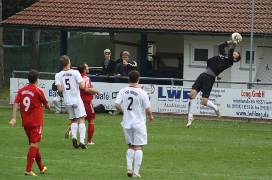 16 Teams - 16 Bilder: Die BOL-Saison 2010/2011 zum Jahreswechsel ...